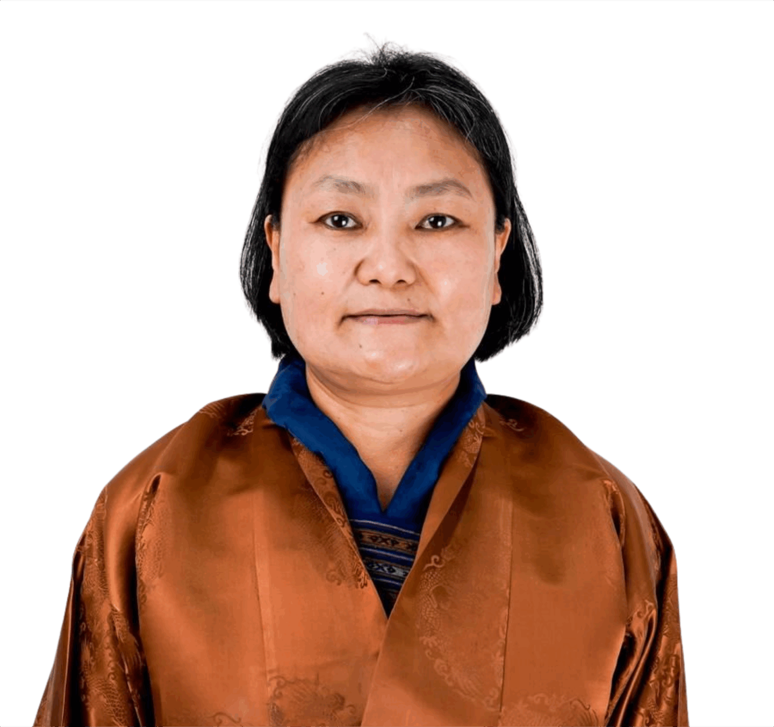 Board of Directors – Bhutan Development Bank Limited